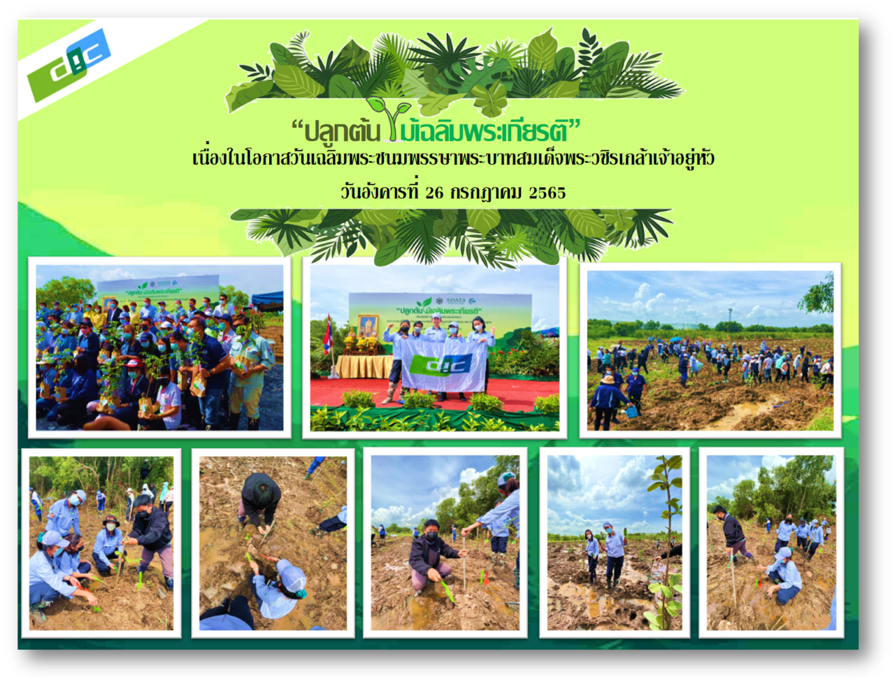 DIC Graphics (Thailand) Co., Ltd.